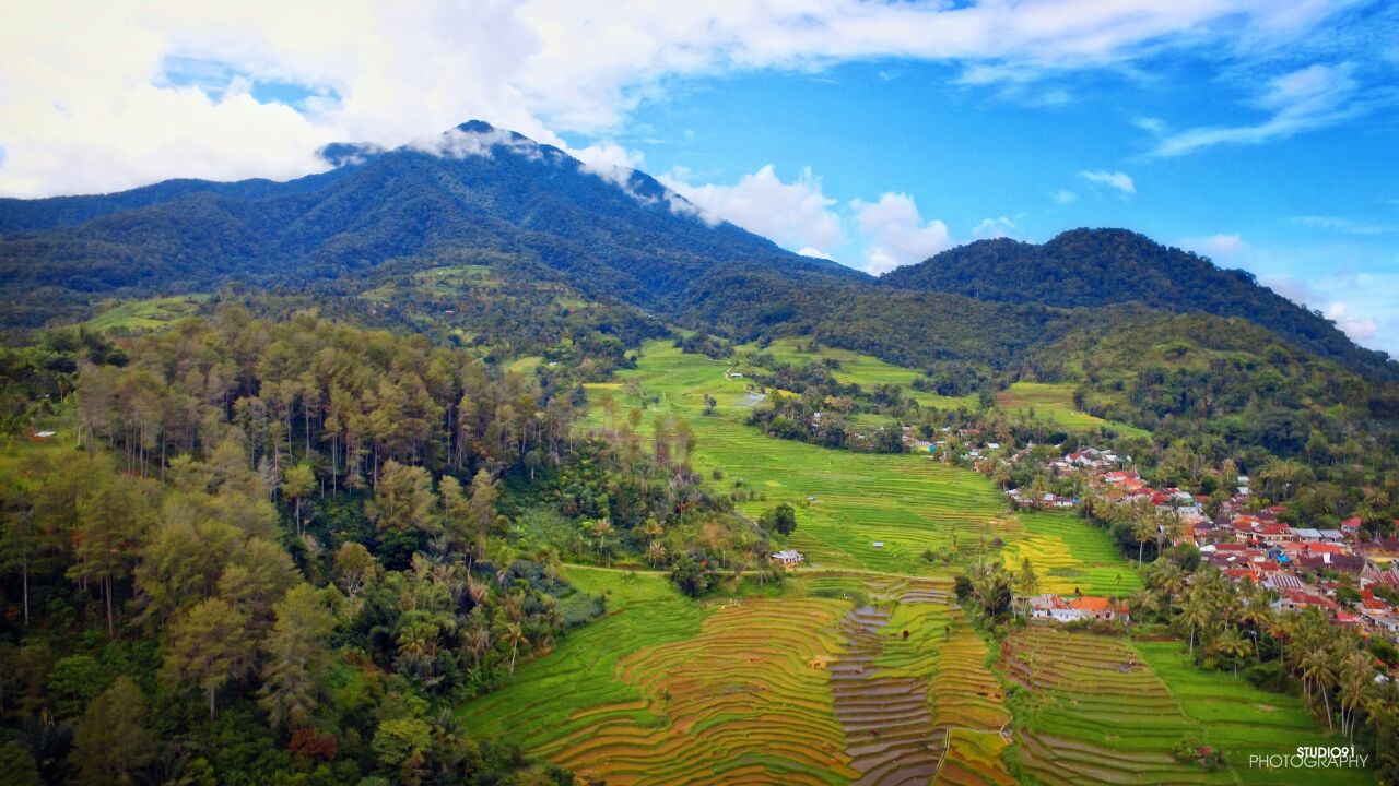 Official Web Desa Bukit Makmur Kecamatan Kaliorang Kabupaten Kutai Timur